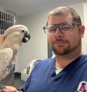 Veterinarian In Cherry Hill, NJ 08003 | Animal And Bird Health Care Center